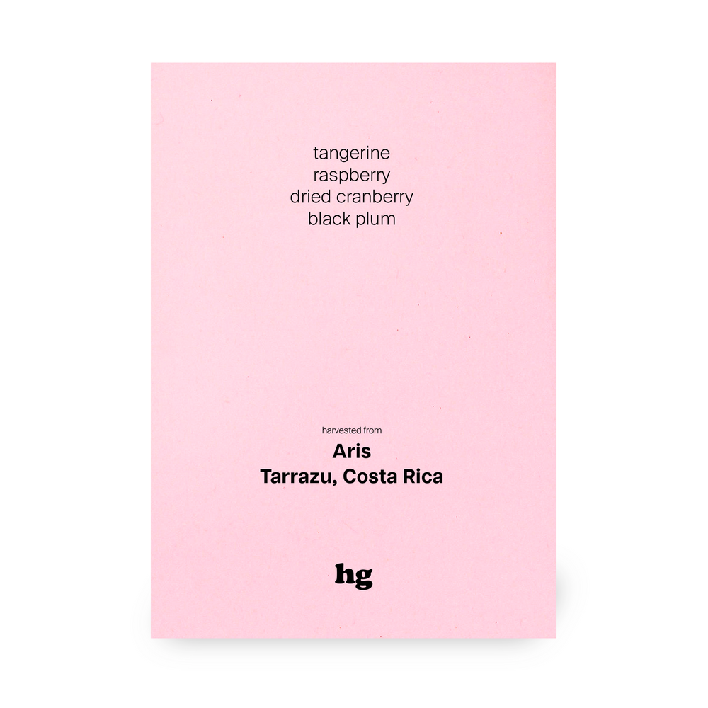 Aris, Caturra & Catuai, Red Honey, Costa Rica (Drip Bag In-store)